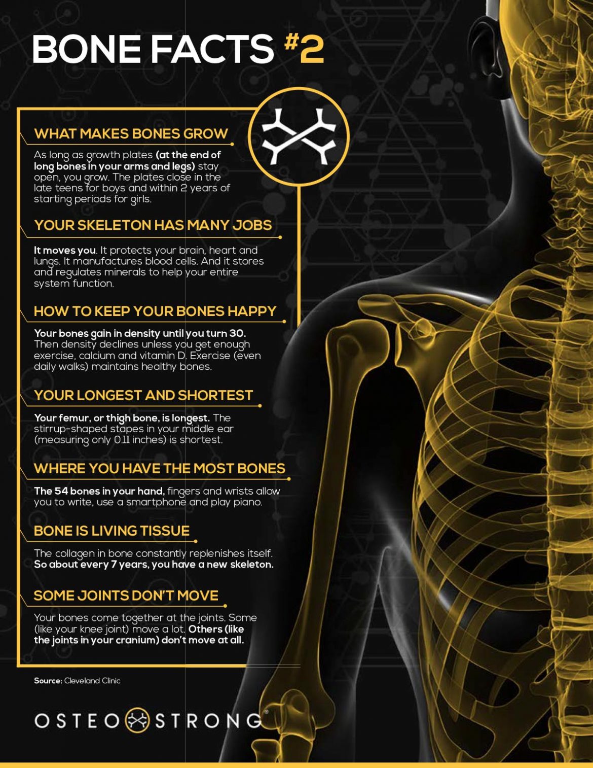 Bone Facts 2 - OsteoStrong
